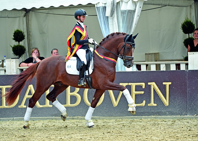 Sandro Hit – De IJzeren Man